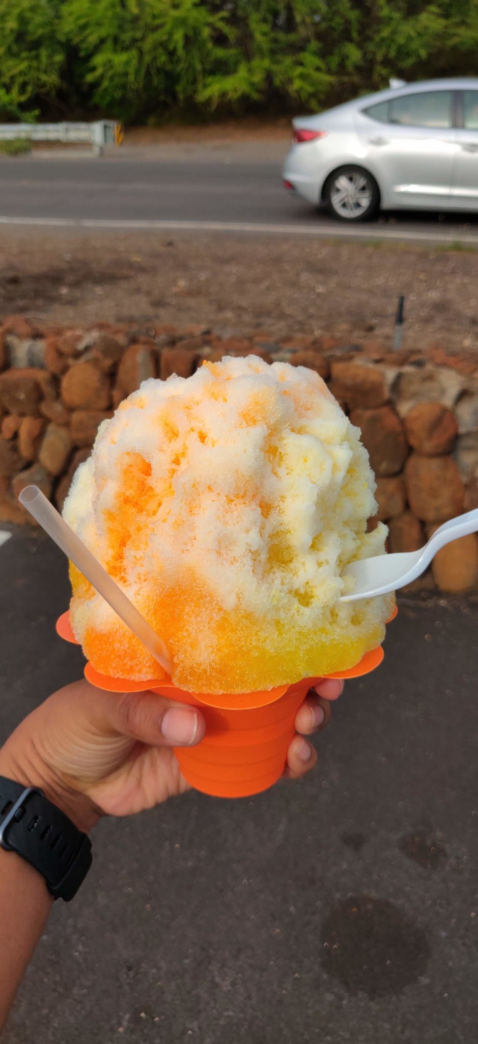 Hawaii Big Island Experience – Part 3: The Untamed Land | I See Life in HD